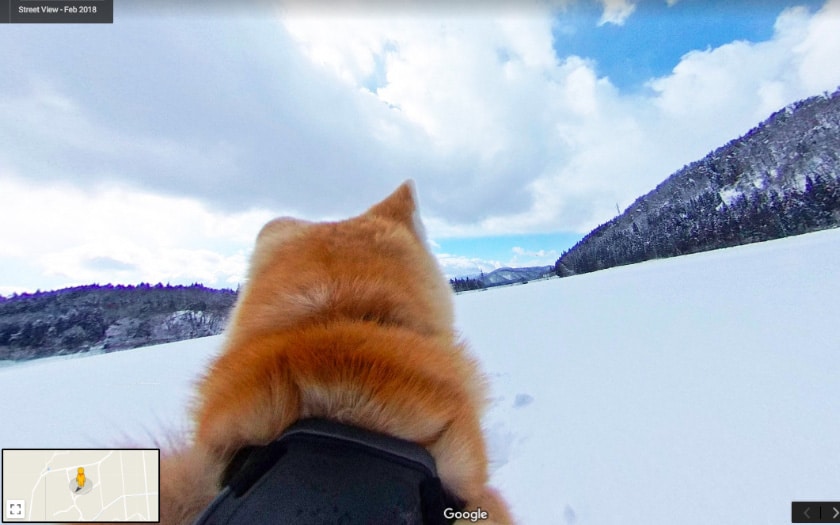 Google Dog View : explorez la préfecture japonaise d'Akita à dos de chien