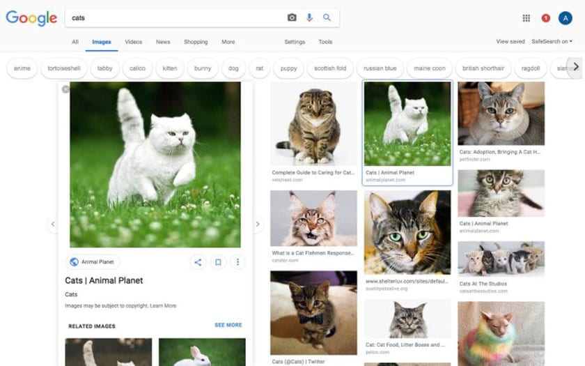 Google Images change d'interface, découvrez son nouveau design