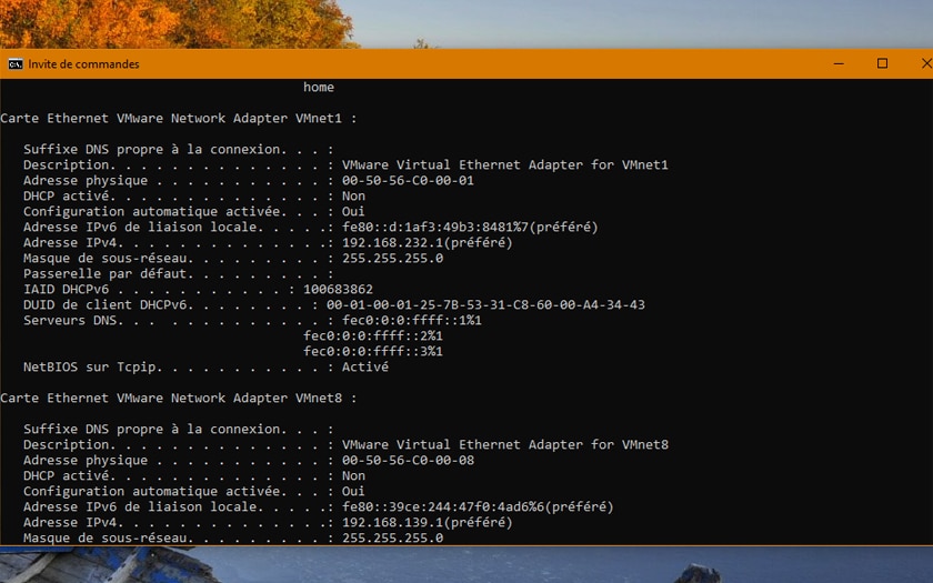 Comment trouver une adresse IP