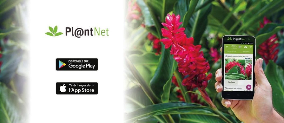 Télécharger Plantnet APK gratuit sur Android