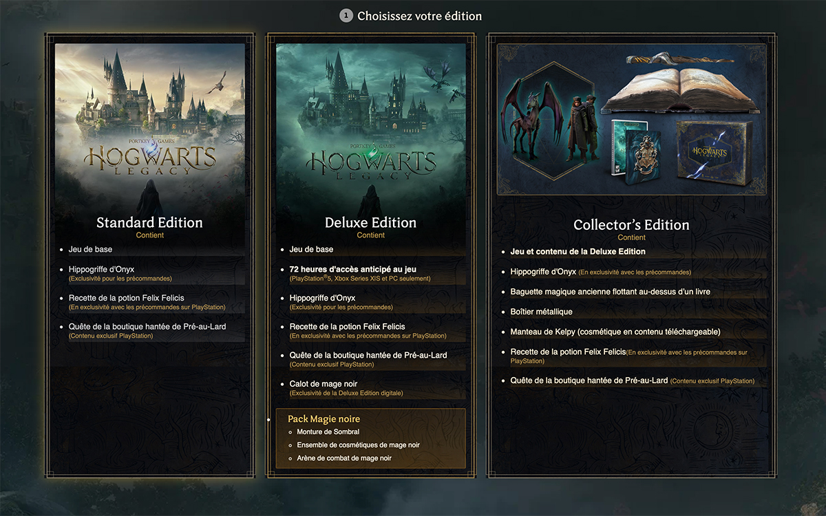 Hogwarts Legacy L'Héritage de Poudlard : date de sortie, gameplay, histoire, tout savoir sur le ...