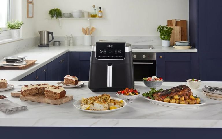 Airfryer Ninja MAX PRO 6,2 L : vite, la friteuse sans huile est à son ...