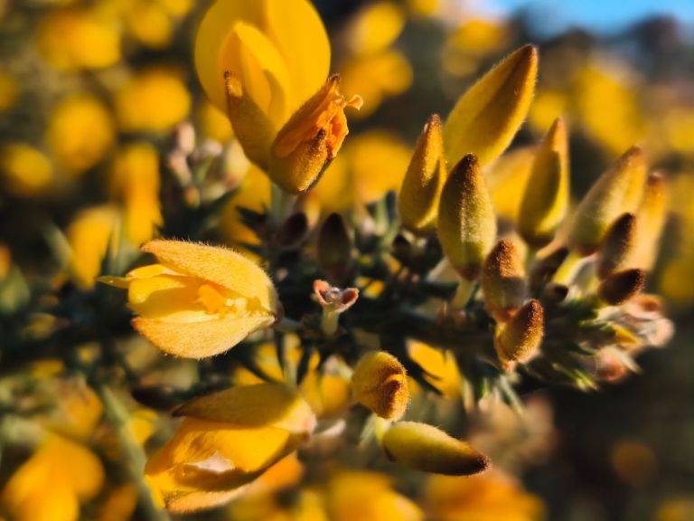 Notre test complet du Redmi Note 15 Pro 5G